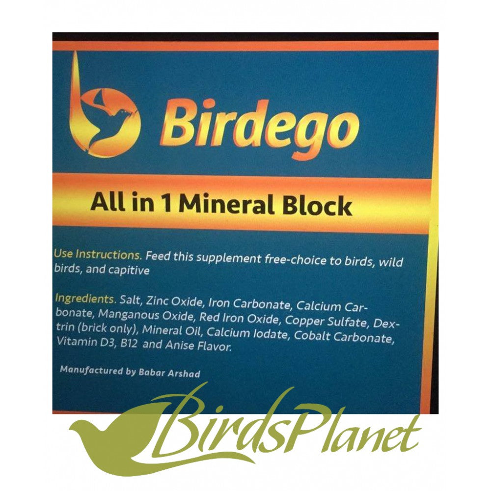 bird ego – Birds Planet