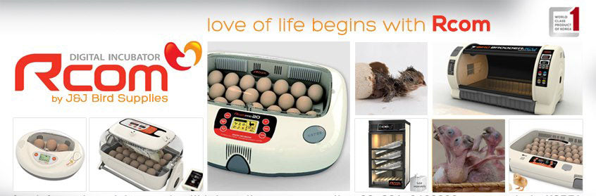 Rcom_Digital_Incubators – Birds Planet