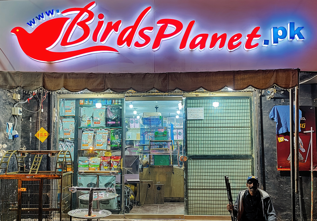 Birds Planet