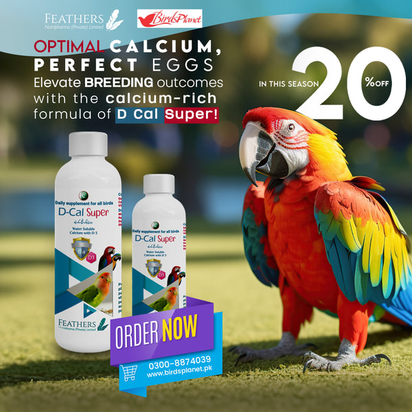 D – Cal Super – Birds Planet