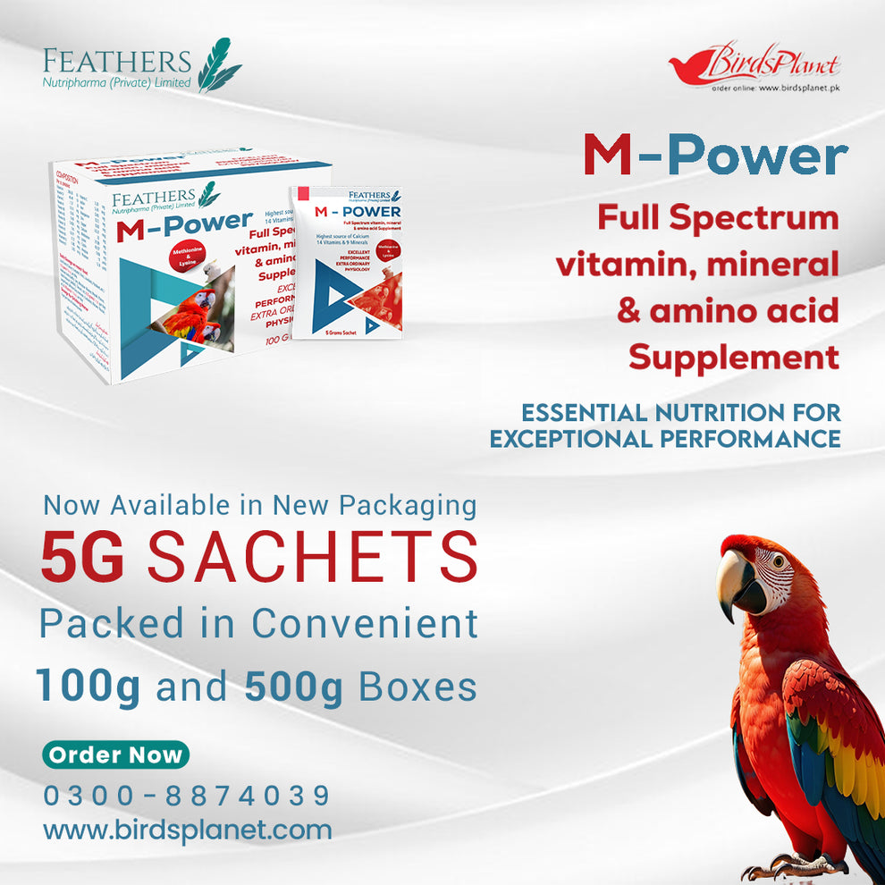 M – Power – Birds Planet
