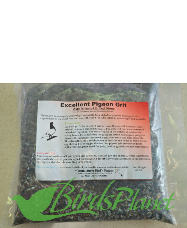 Excellent Pigeon Grit – Birds Planet