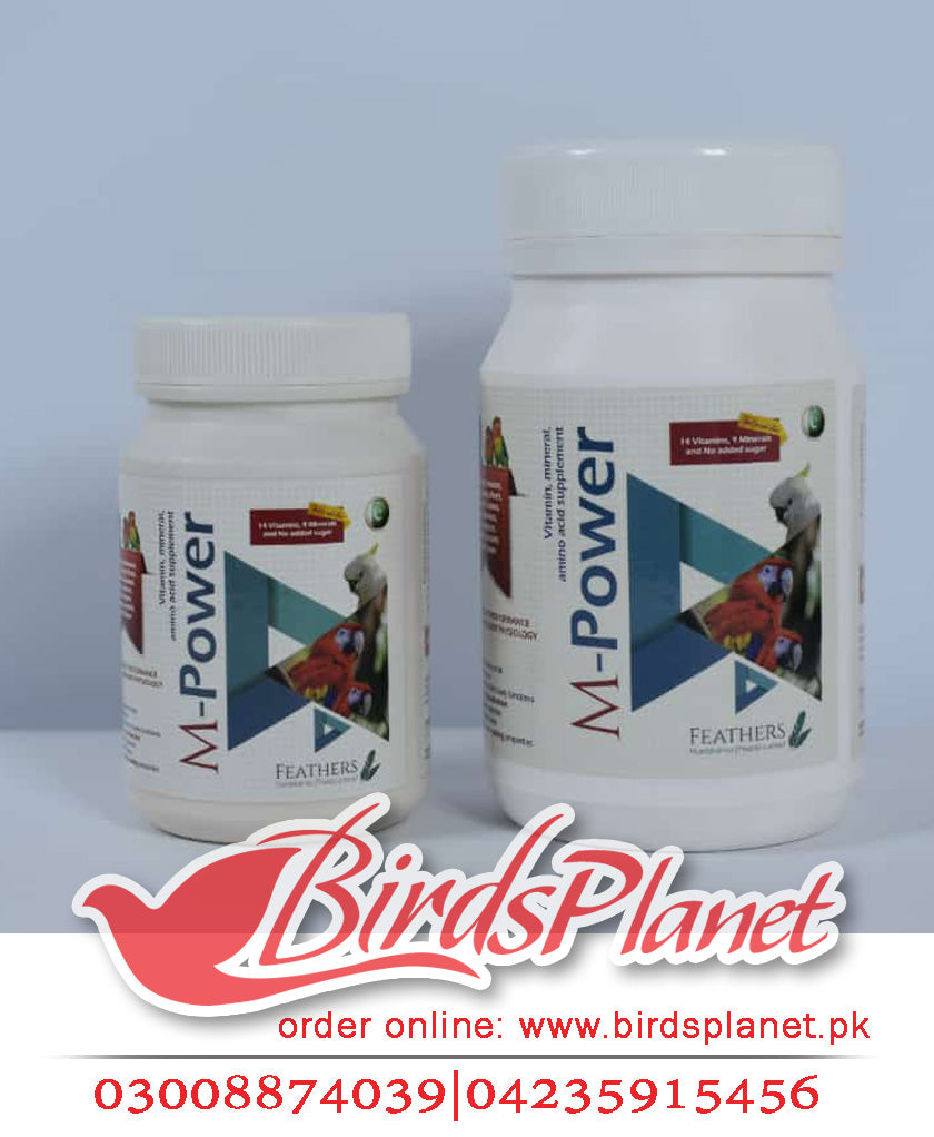 M – Power – Birds Planet