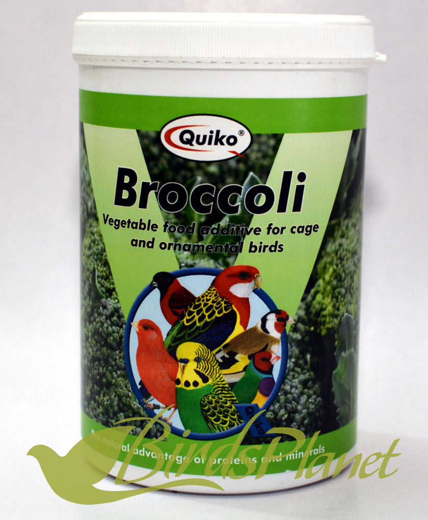 Quiko Broccoli – Birds Planet