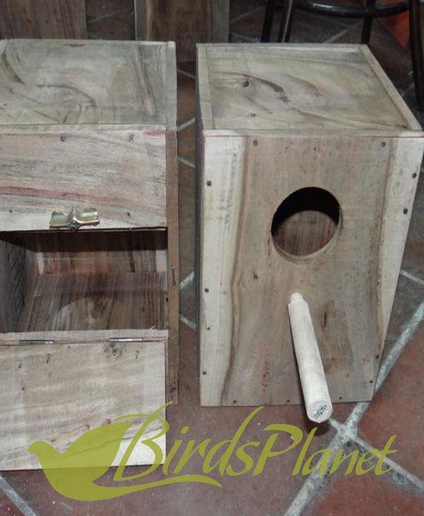 Solid Wood Breeding Box for Budgies – Birds Planet