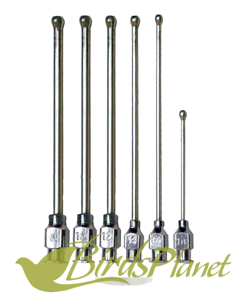 Crop Needles for Birds Feeding – Birds Planet