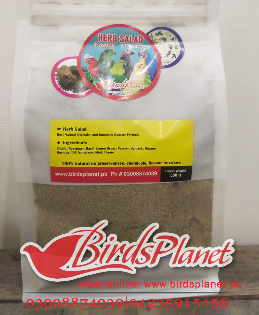 Herb Salad – Birds Planet