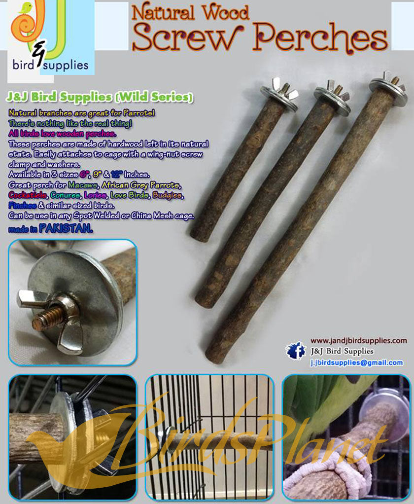 Natural Wood Screw Perches – Birds Planet