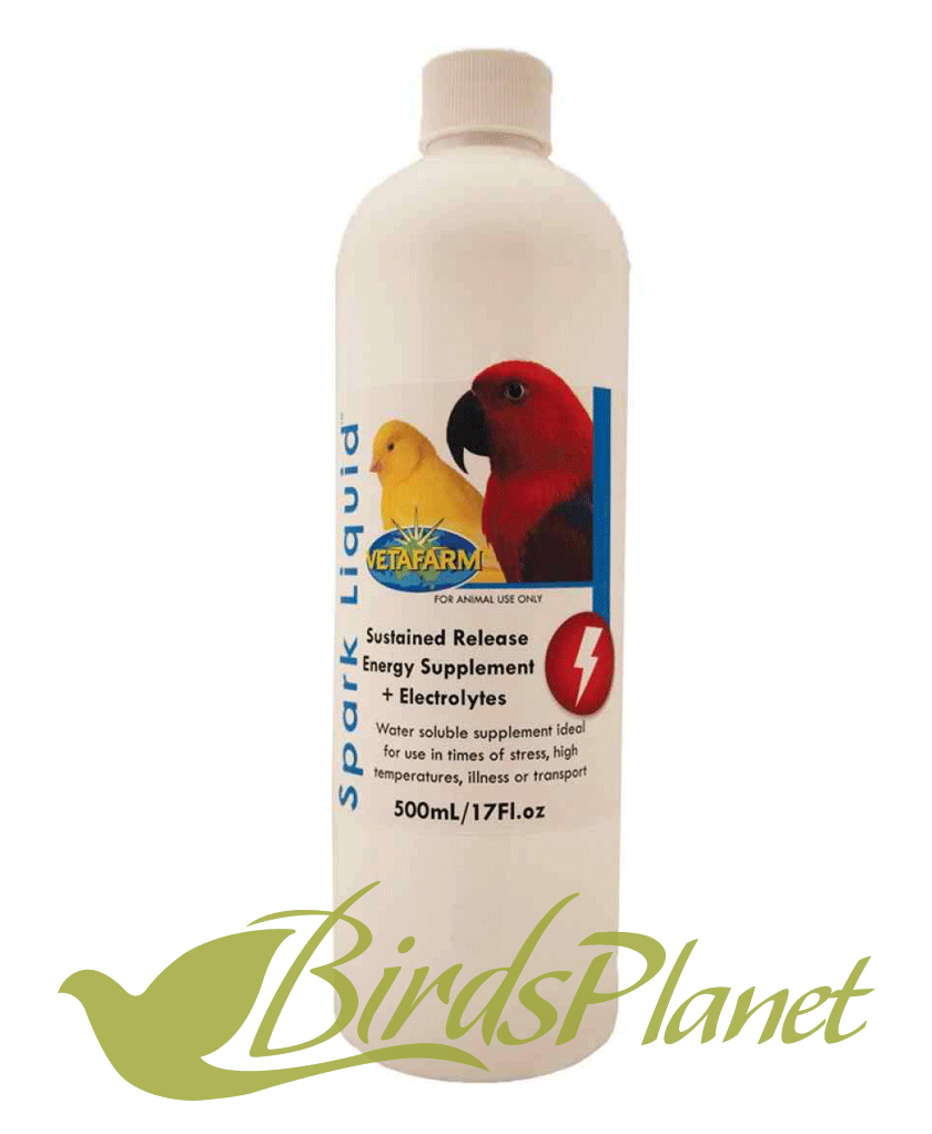 Spark Electrolyte Liquid Concentrate – Birds Planet