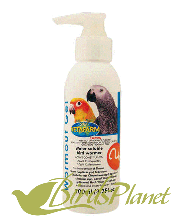 Wormout Gel (Treatment of Thread Worm) – Birds Planet